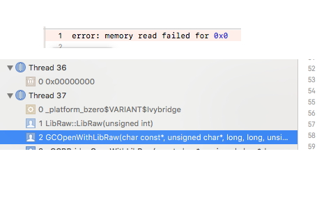 Libraw 0.19 crashes on macOS if used in a background thread | LibRaw